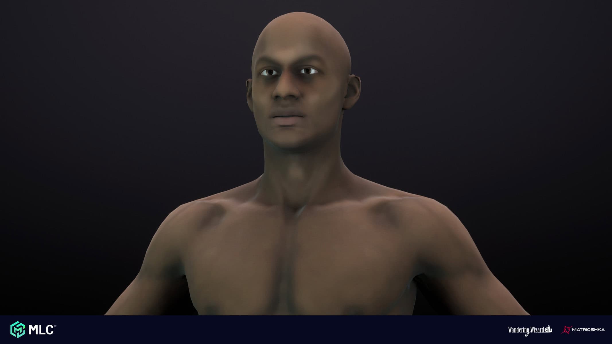 MLC Studio Project | Matrioshka Games